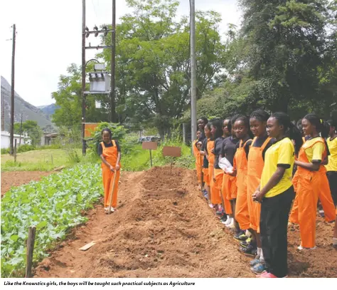 Quiet revolution in Nyanga - PressReader