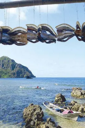 VAKUL: Symbol of survival - PressReader