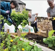 Head along to find out about community garden - PressReader