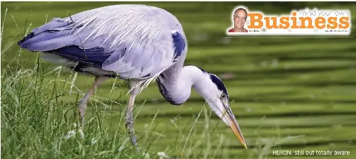 GETTING INTO POSITION - PressReader