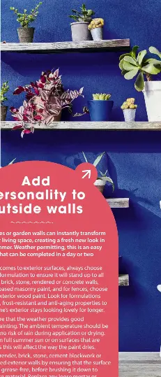 Add personalit­y to outside walls - PressReader