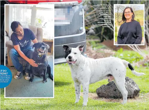 Fed-up residents call for curbs on dangerous dogs - PressReader