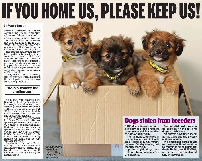 IF YOU HOME US, PLEASE KEEP US! - PressReader