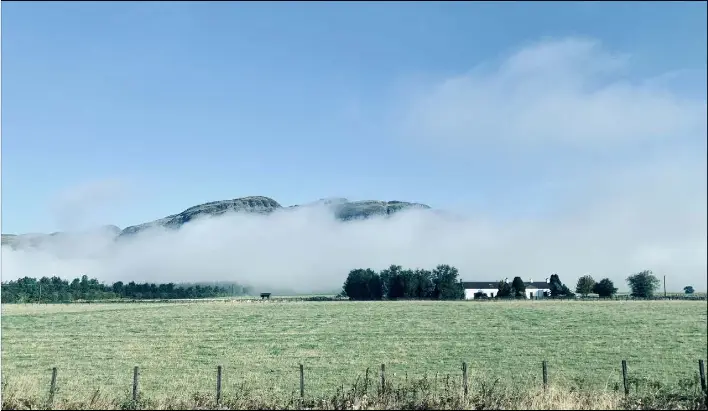 SNAP SHOT - DISTRICT DIGEST - - PressReader