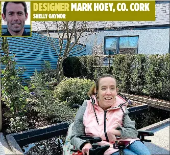 DESIGNER MARK HOEY, CO. CORK - PressReader