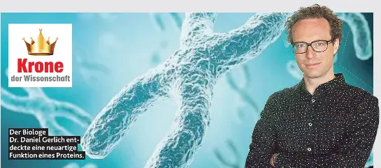 Tanz der Chromosome­n - PressReader