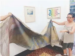 Reframing art at Calle Wright - PressReader