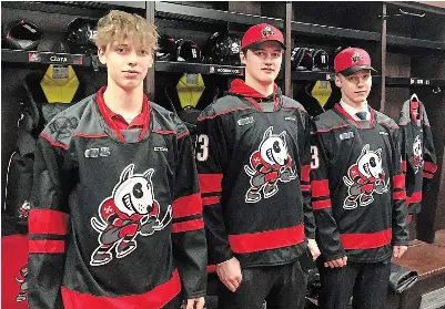 Ryan Roobroeck follows older brother to Niagara - PressReader