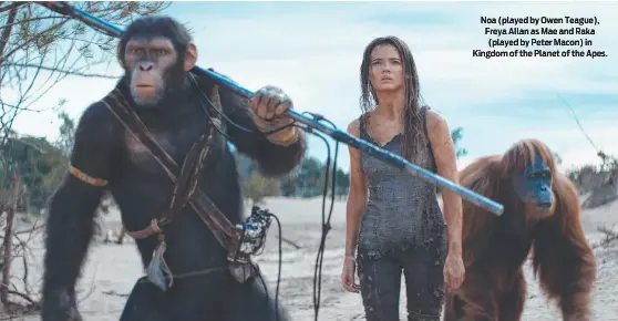 Kingdom of hope - PressReader