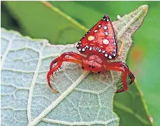 Paisley Colour Photograph­ic Club - PressReader