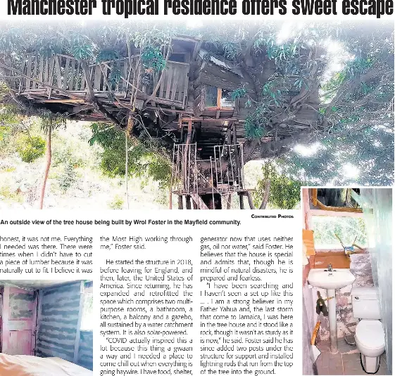 TREE HOUSE PARADISE Manchester tropical residence offers sweet escape ...