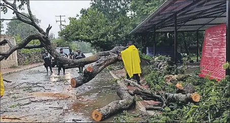 Vuelve la normalidad - PressReader