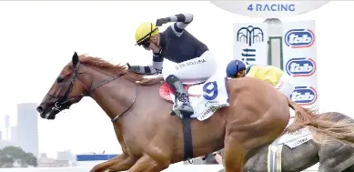 Greeff and Fourie to win again - PressReader