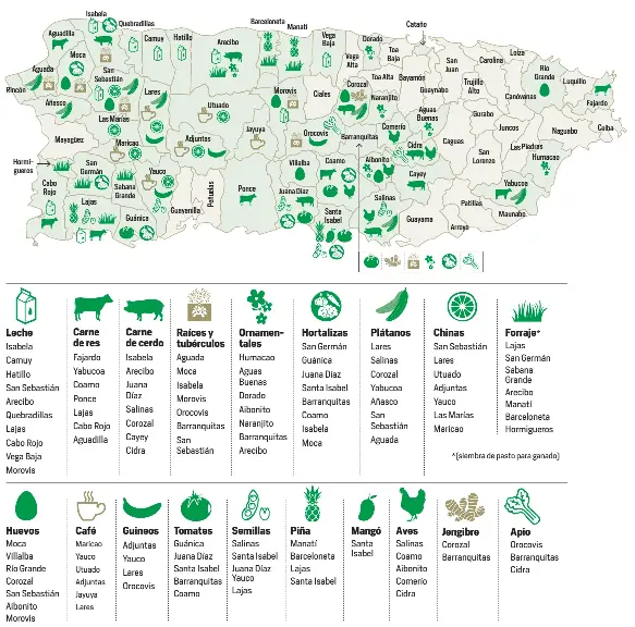 Mapa de producción agrícola en Puerto Rico - PressReader