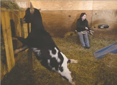 For goat lovers, Salem farm is heaven on earth - PressReader