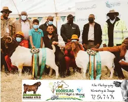 BUSHRA STUD WINS BIG AT VOORLSAG SHOW - PressReader