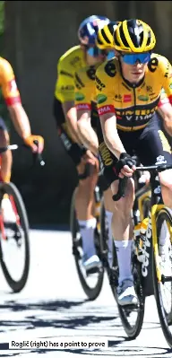 Jumbo-visma - PressReader