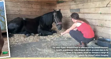 ‘H e took a deep breat han d lay down ont he floor’ - PressReader