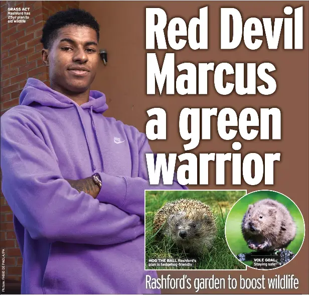 Red Devil Marcus a green warrior - PressReader