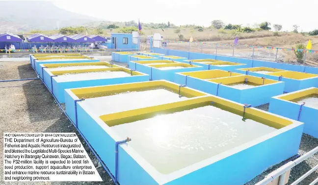Bataan opens P32M marine hatchery - PressReader