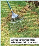 ASK DIARMUID - PressReader