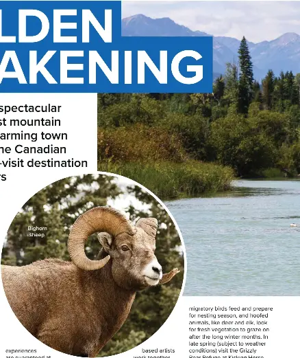 GOLDEN AWAKENING - PressReader