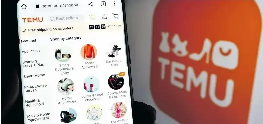 What I learnt from my adventure with Temu - PressReader