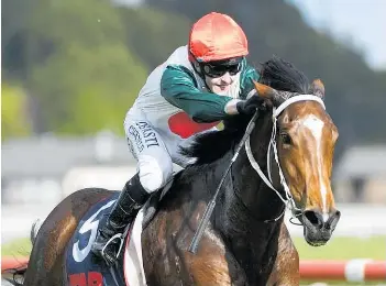 Four jockeys fall at Te Rapa - PressReader