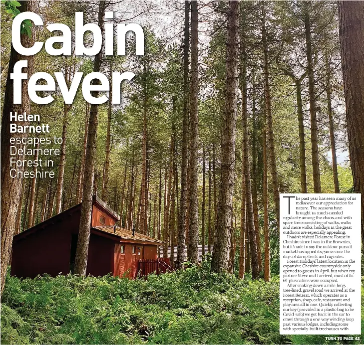 Cabin fever - PressReader