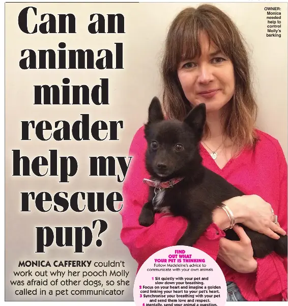 Can an animal mind reader help my rescue pup? - PressReader