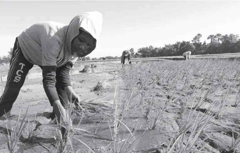 Creation of MICE Board long overdue to push Davao brand - PressReader