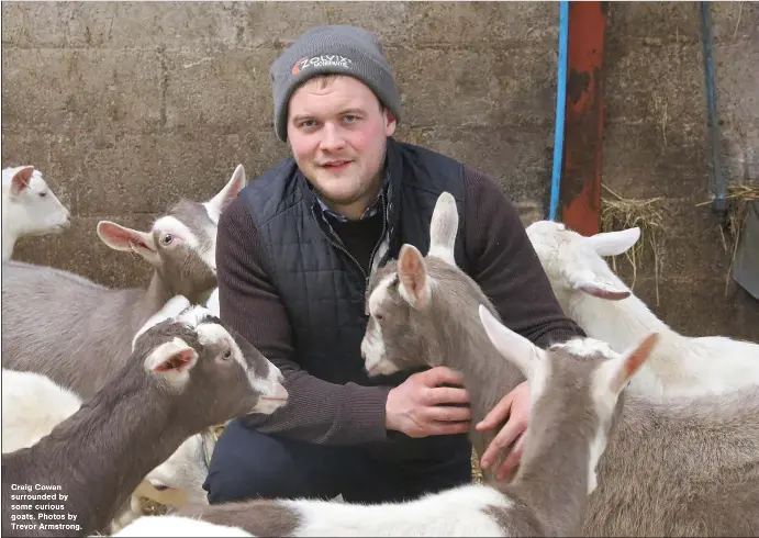 No time for kiddin’ around at the Cowans’ thriving goat farm - PressReader