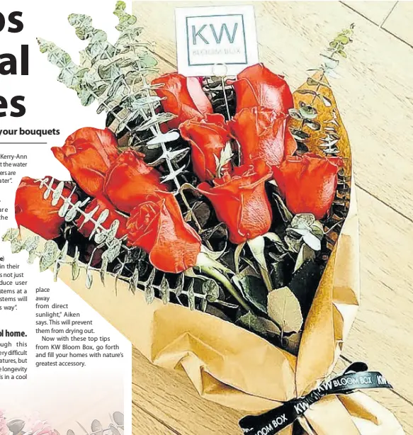 Top tips for floral newbies - PressReader