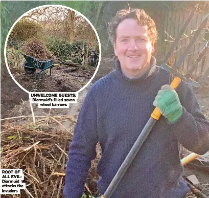 A root awakening - PressReader