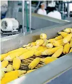 MOFPI virtually inaugurate­s 75 food processing projects - PressReader