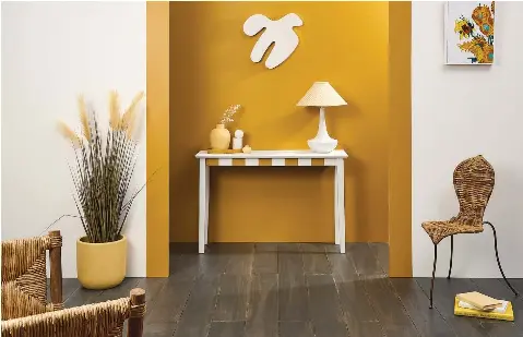 COLOUR CONNECTION­S - PressReader