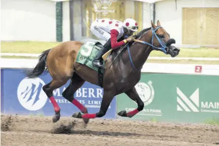 Funcaandun to extend winning streak in Mark My Word feature - PressReader