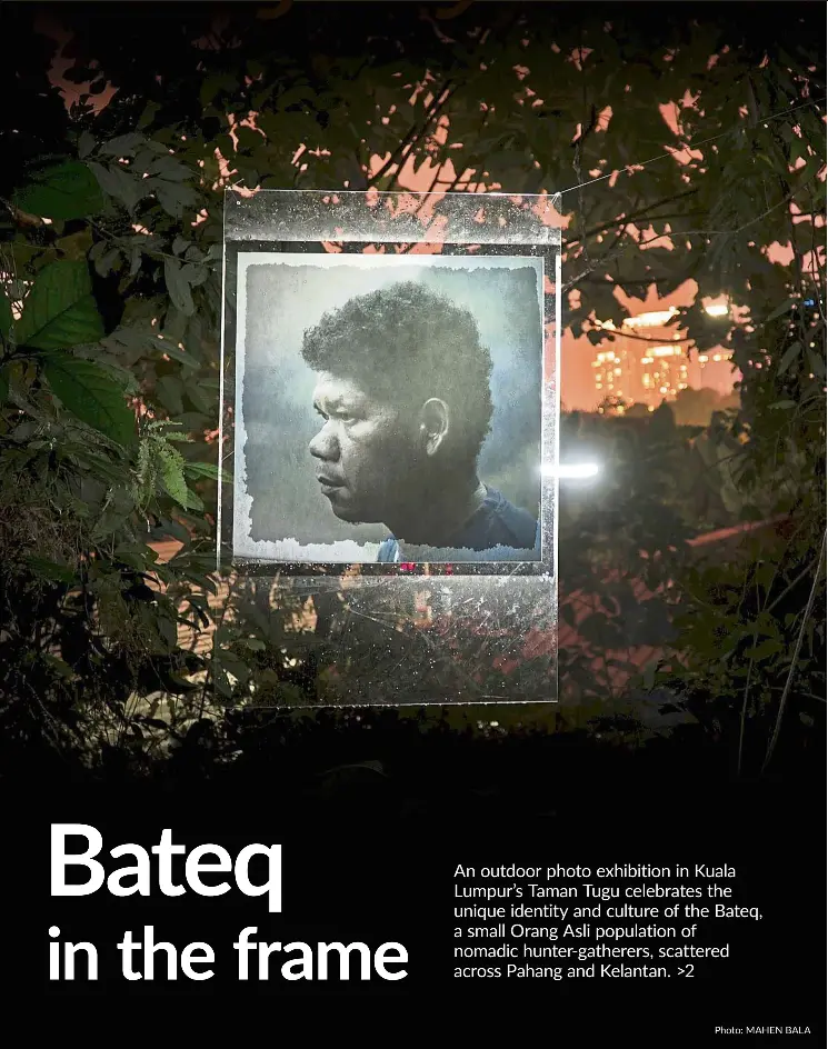 Bateq in the frame - PressReader