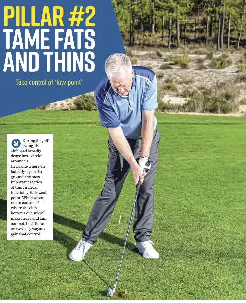 TAME FATS AND THINS - PressReader