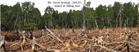 EU will not delay deforestat­ion law - PressReader