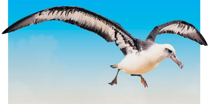 Britain’s public sector pension albatross now at £6 trillion - PressReader