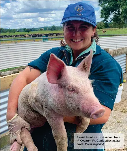 You can help stop the spread of exotic seaweed - PressReader