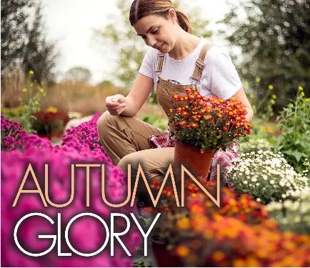 Autumn GLORY - PressReader