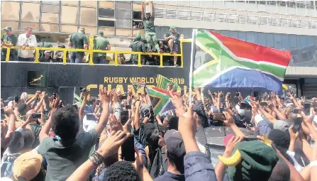 Springbok fever hits the coast - PressReader