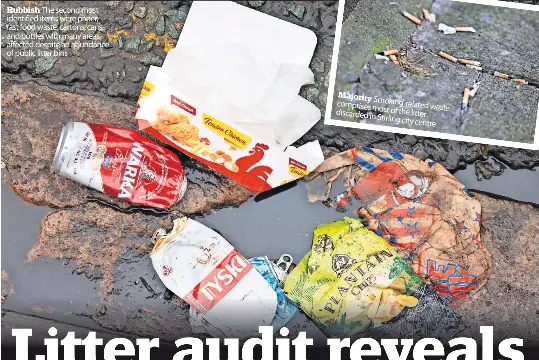 Litter audit reveals city problem areas - PressReader