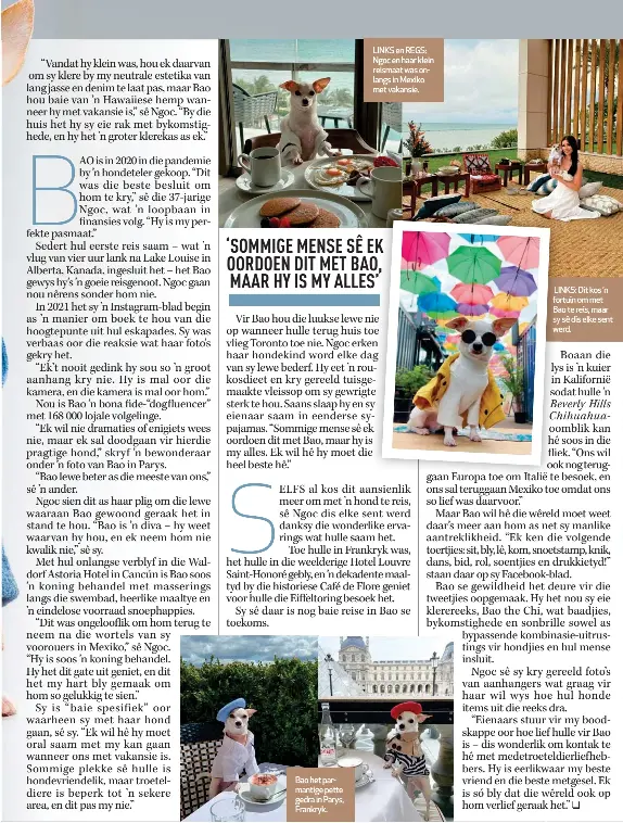 WAT DE WOEF! - PressReader