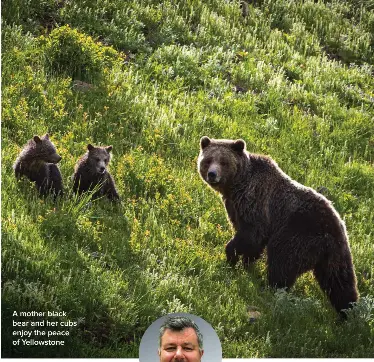 Whatever you do, don’t feed the bears! - PressReader