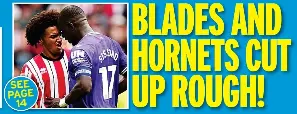 BLADES AND HORNETS CUT UP ROUGH! - PressReader