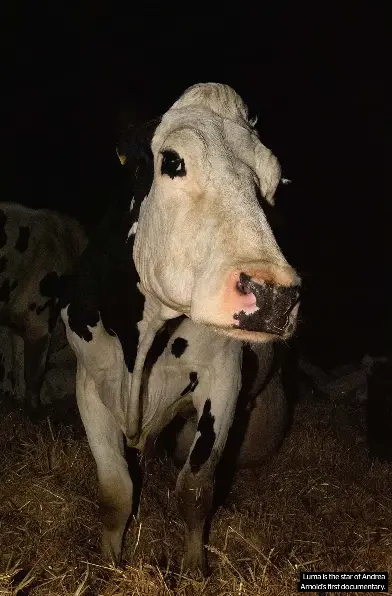 ANIMAL TRAGIC - PressReader