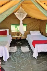 TAMING THE WILD... IN STYLE! - PressReader